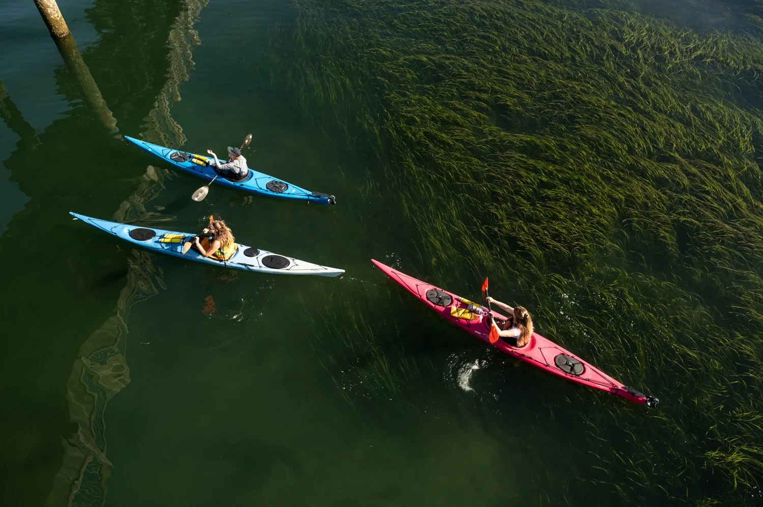 CBC Youth Internship: Leadership Development Program | Youth ...