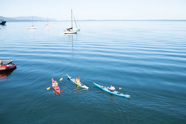Bioluminescent Kayak Tours and Evening Sailing on Bellingham Bay ...