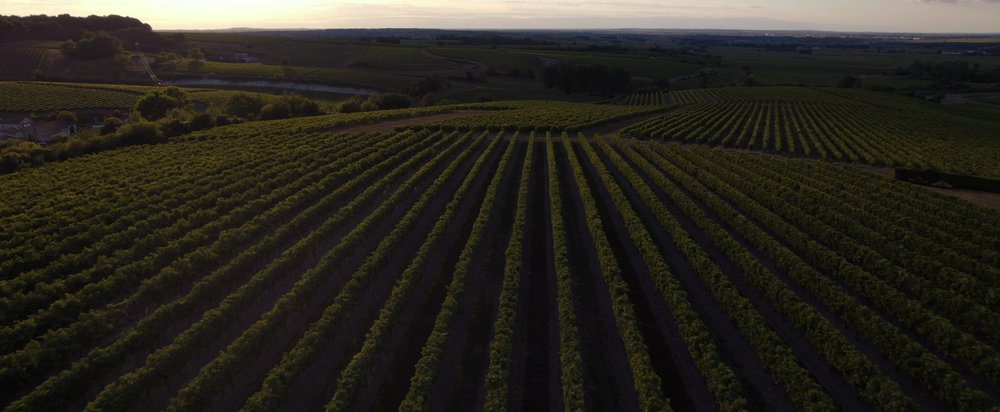 Drink: A Look Inside The Glass