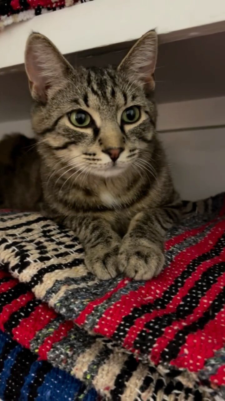 Hush Studio | East Brunswick, NJ | Yoga, Yoga Therapy, Sound Therapy ...