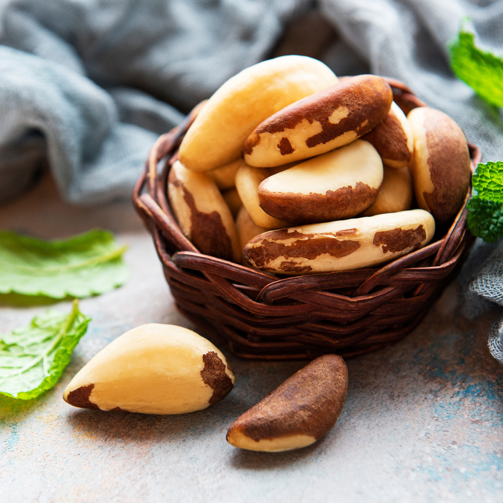 Brazil Nuts - Nature's Selenium Superstar — Hope Blooms Botanicals