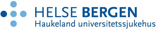 Lace Lithography vant Vestlandets Beste Idé 2023 — VIS - Vestlandets ...