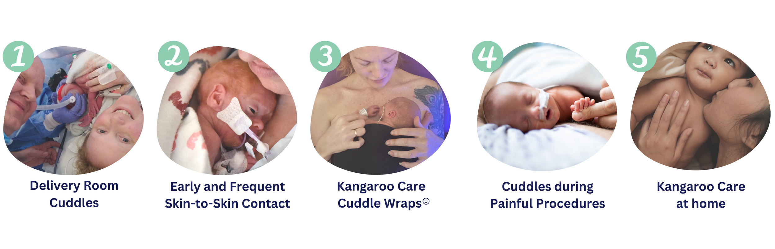 The South West Cuddle Bundle - staff pages — South West Neonatal Network