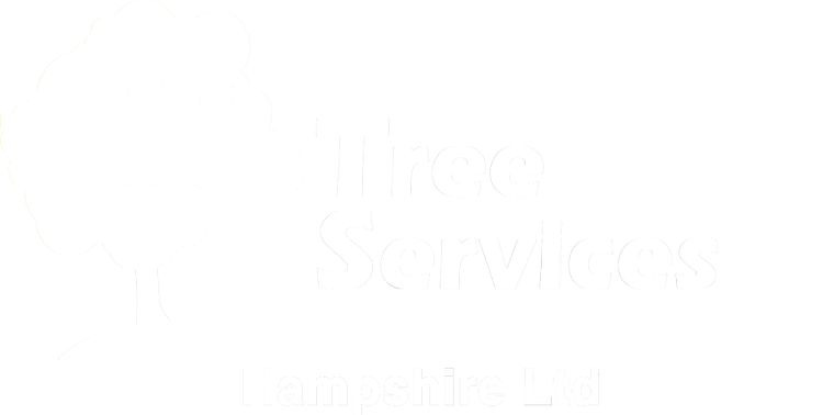 JH Tree Services Hampshire Ltd | Enhance Your Trees Today