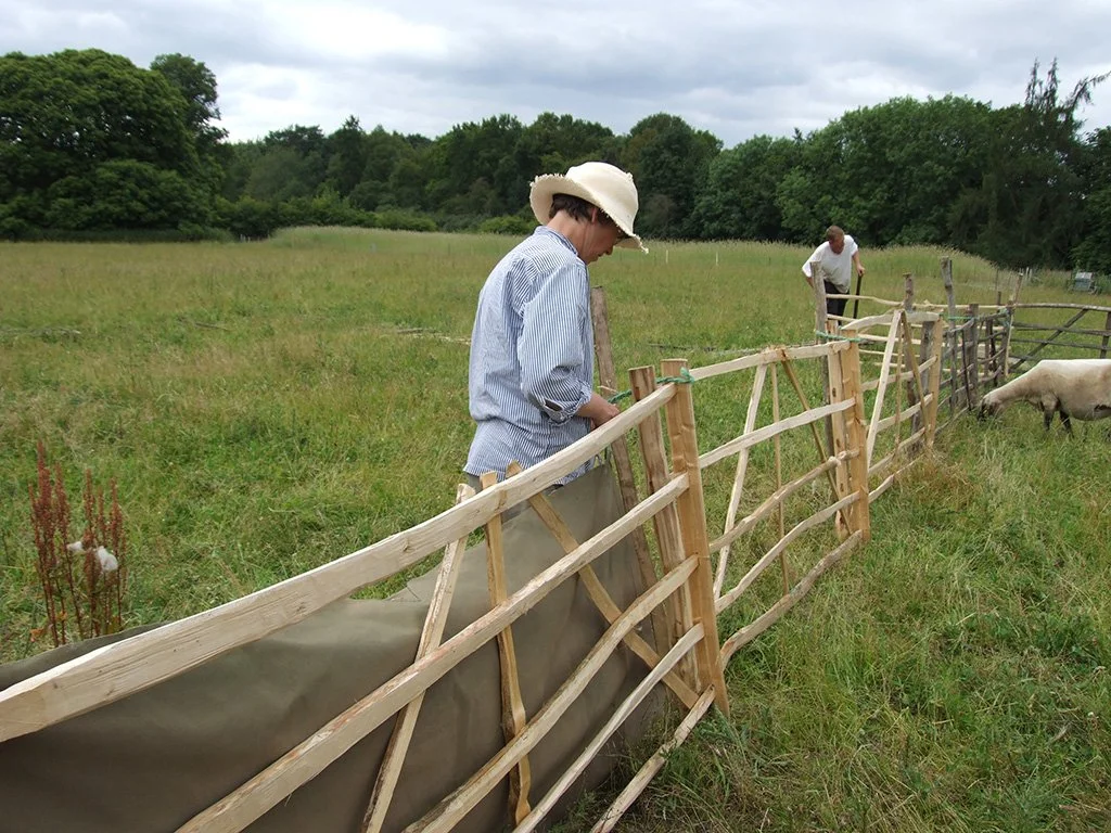 Traditional Chiltern Sheep Folding - Blogs — Chiltern Open Air Museum