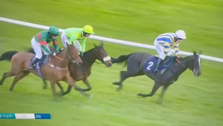 News — Neil Mulholland Racing