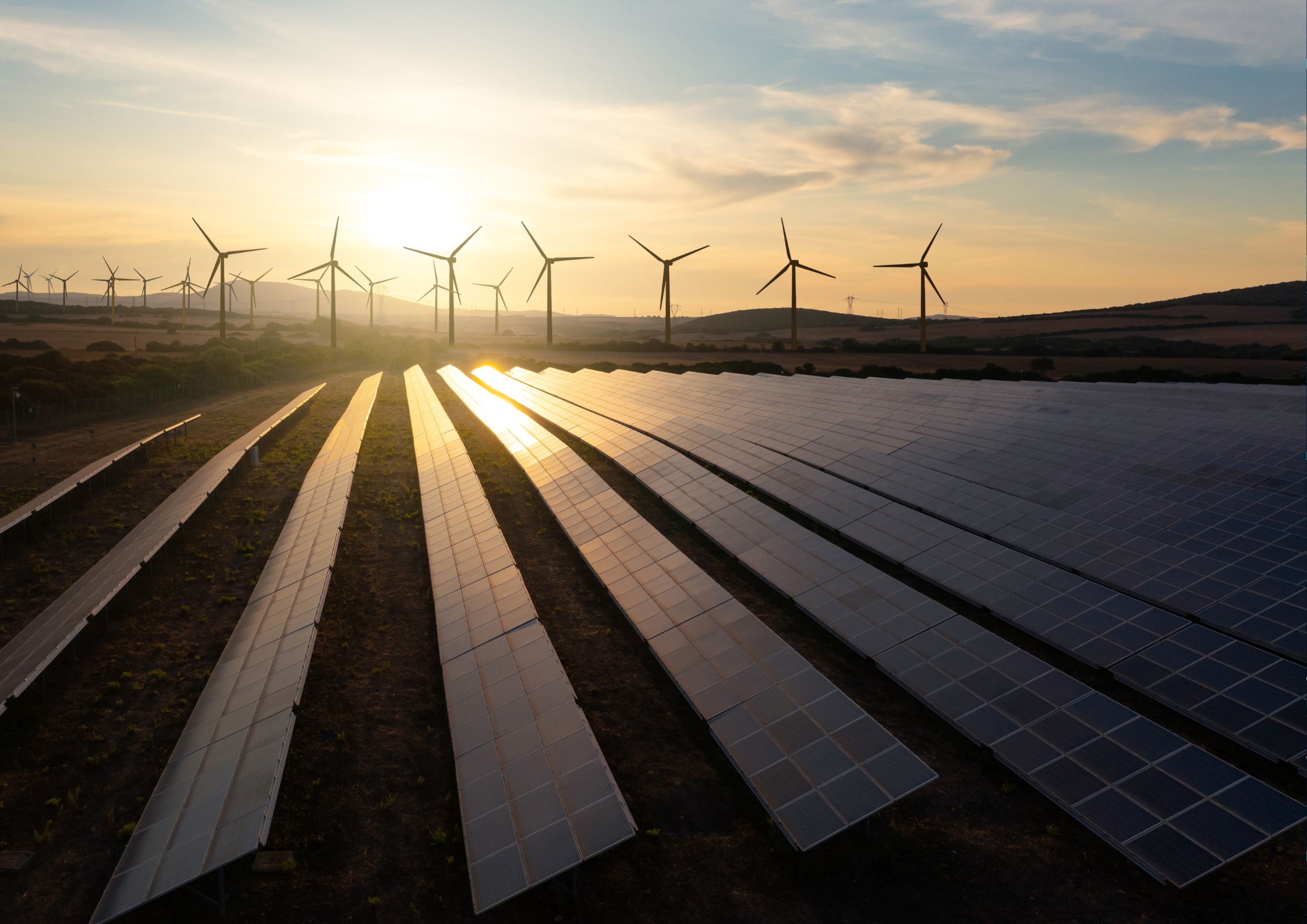 Boston and Cambridge Institutions Drive Renewable Energy with Apex ...