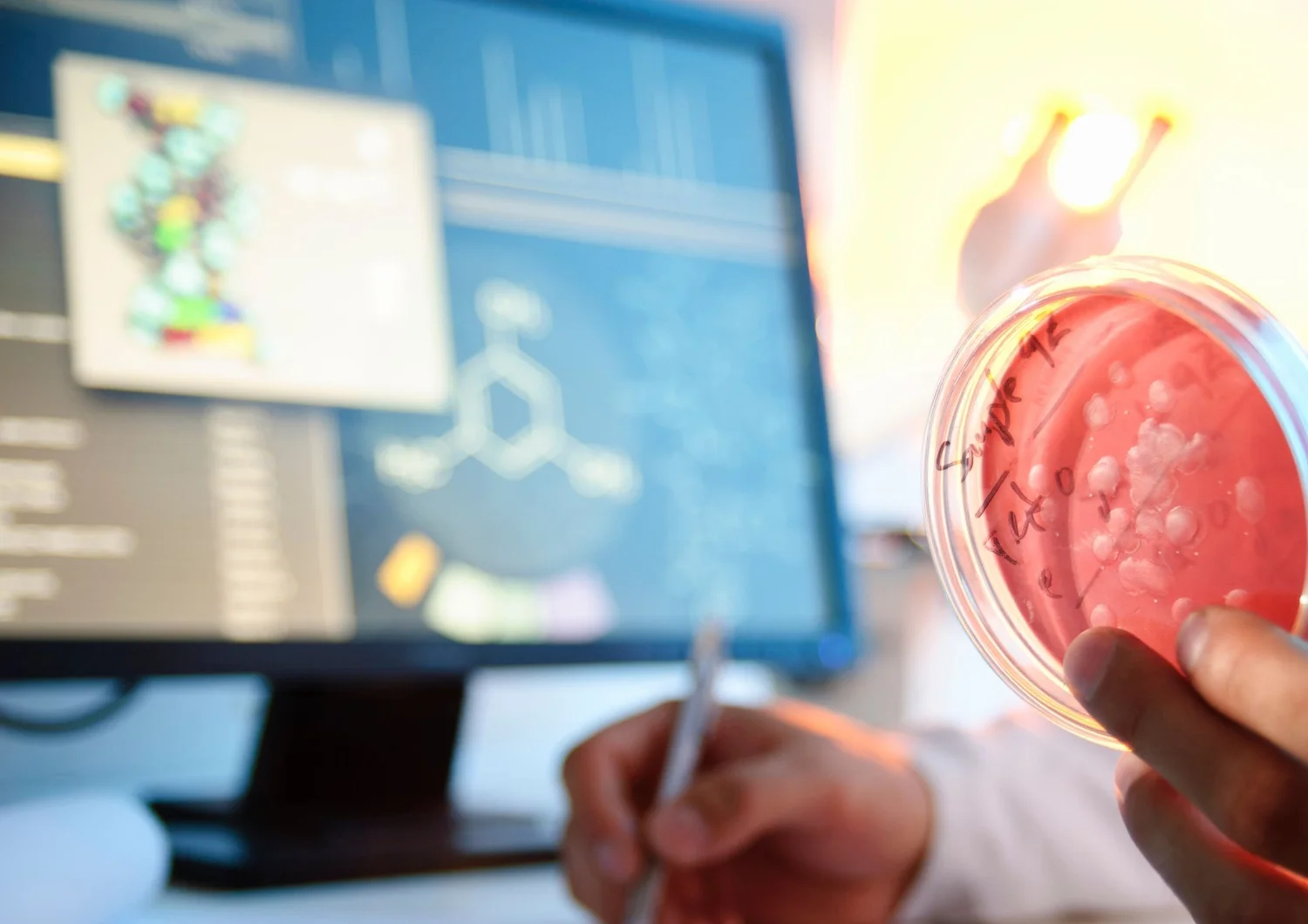 University of Florida offers microbiology boot camps, bringing online ...