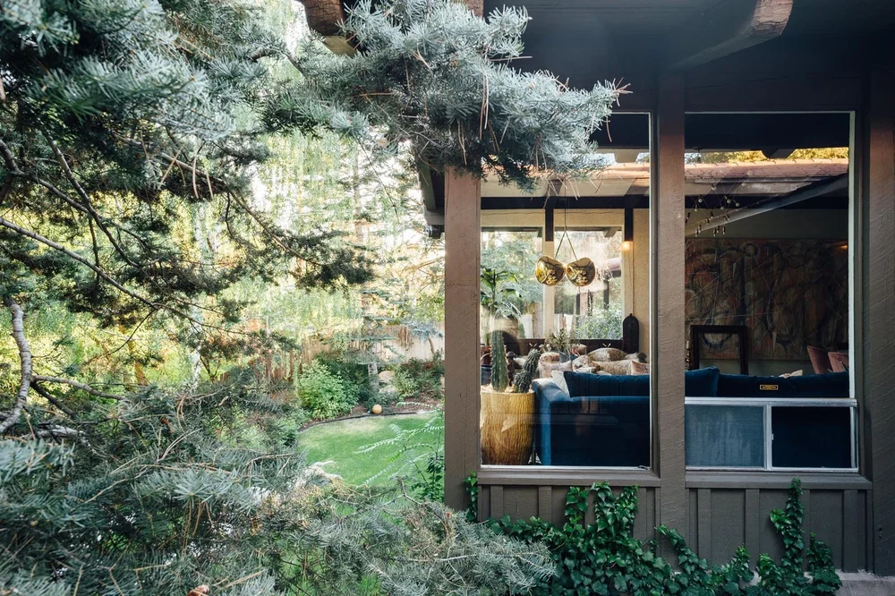 The Making of a Biophilic Pool — Dayhouse Studio