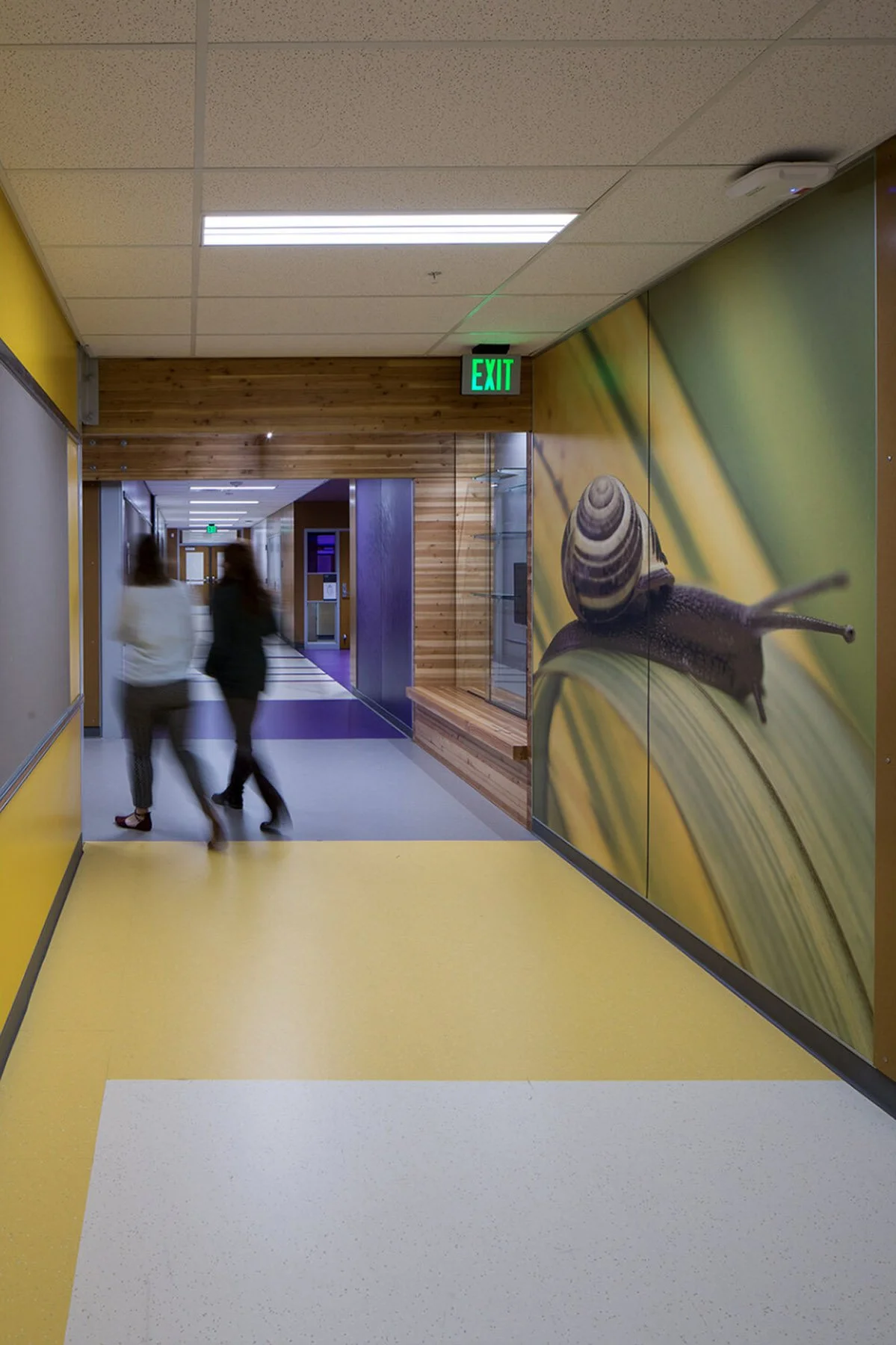 Biophilic design in schools — Dayhouse Studio