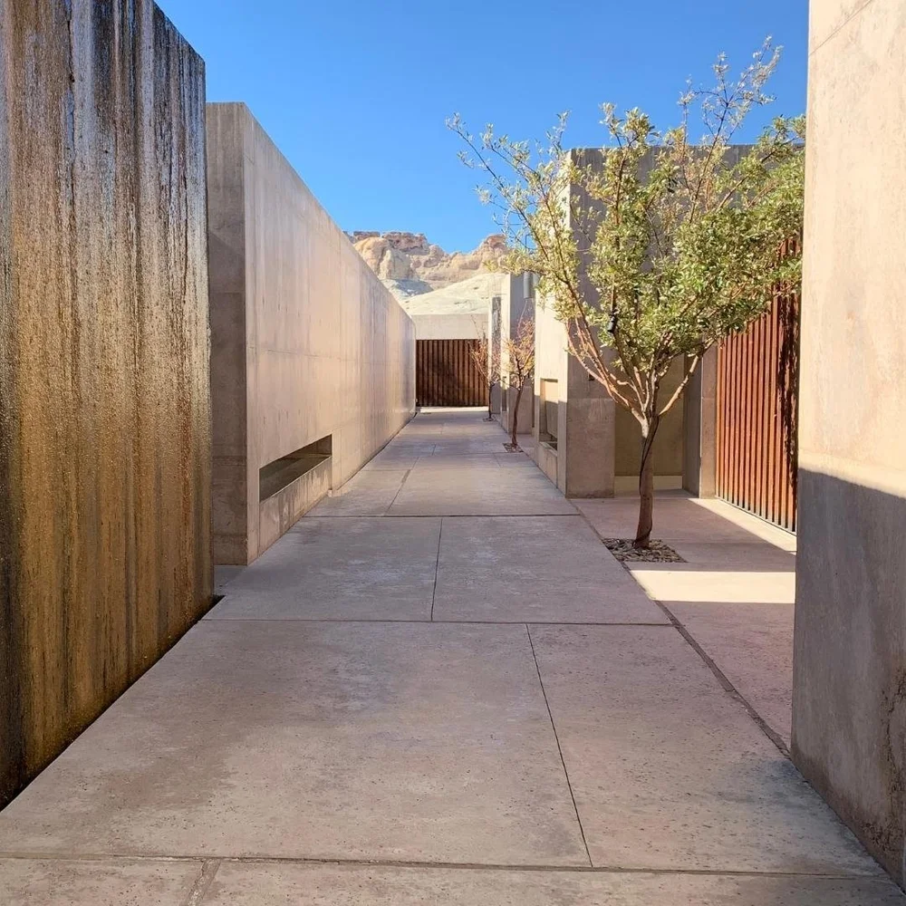 The Basics of Biophilic Design — Dayhouse Studio — Dayhouse Studio