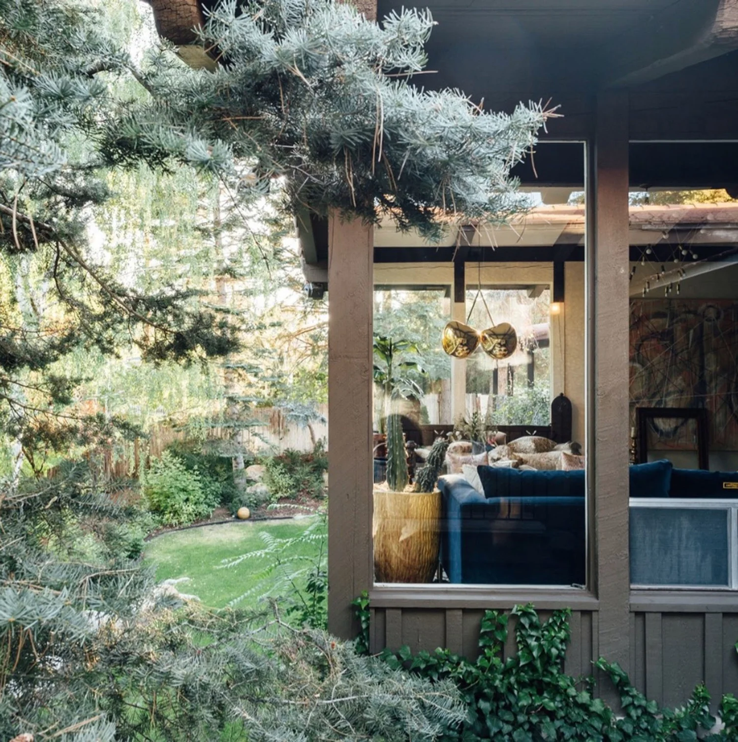 The Basics of Biophilic Design — Dayhouse Studio — Dayhouse Studio