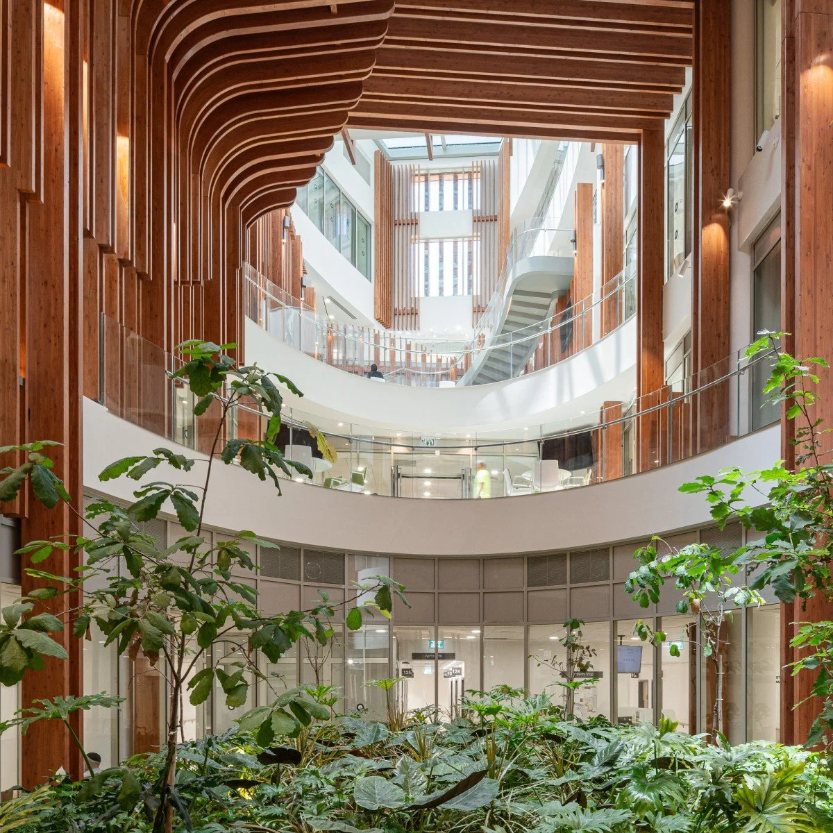 Architecture as Public Health | Tye Farrow on Healing Design — Dayhouse ...