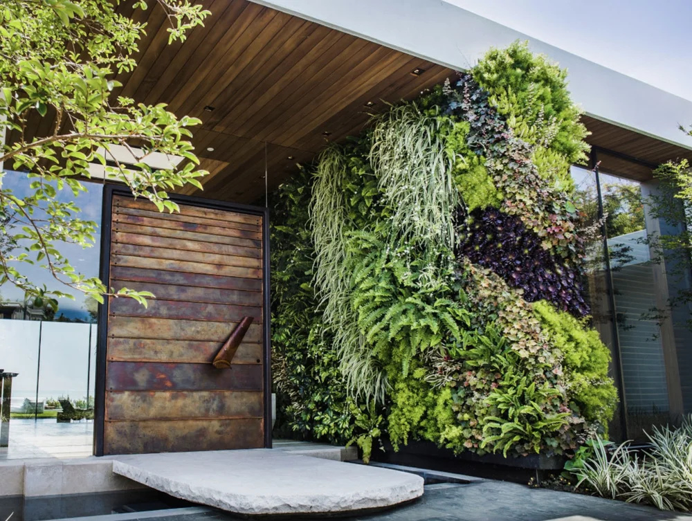 Biophilic Entryway Design — Dayhouse Studio