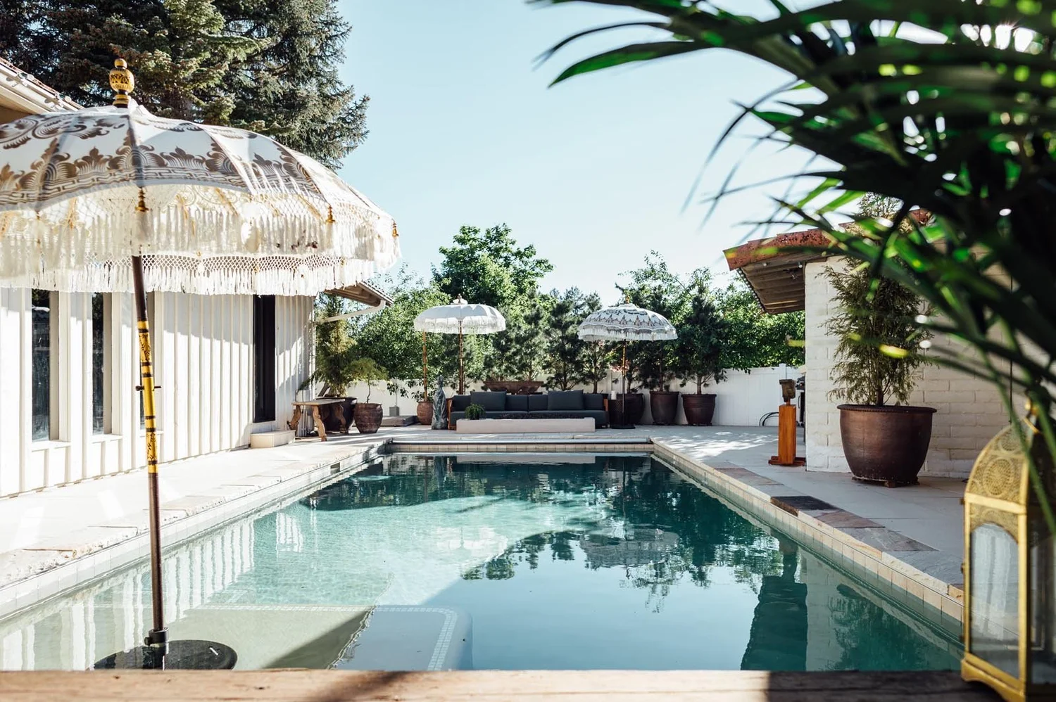 DAYHOUSE LIVING: Your Guide to Biophilic Design — Dayhouse Studio