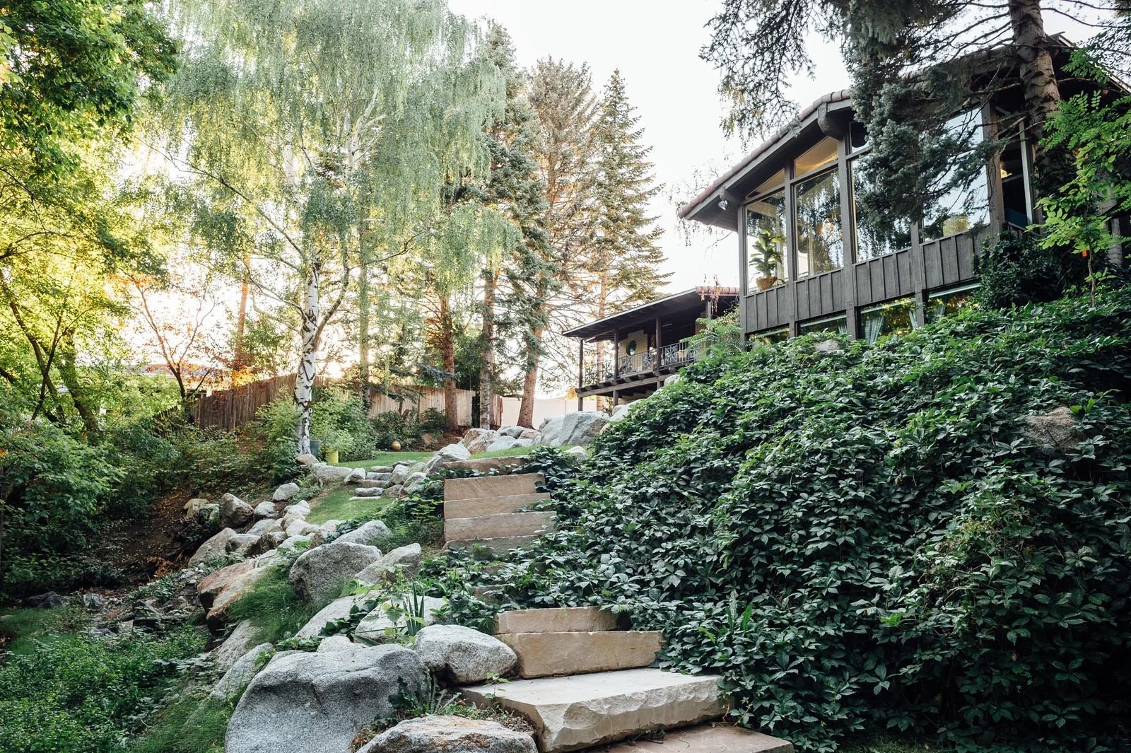 The Making of a Biophilic Pool — Dayhouse Studio