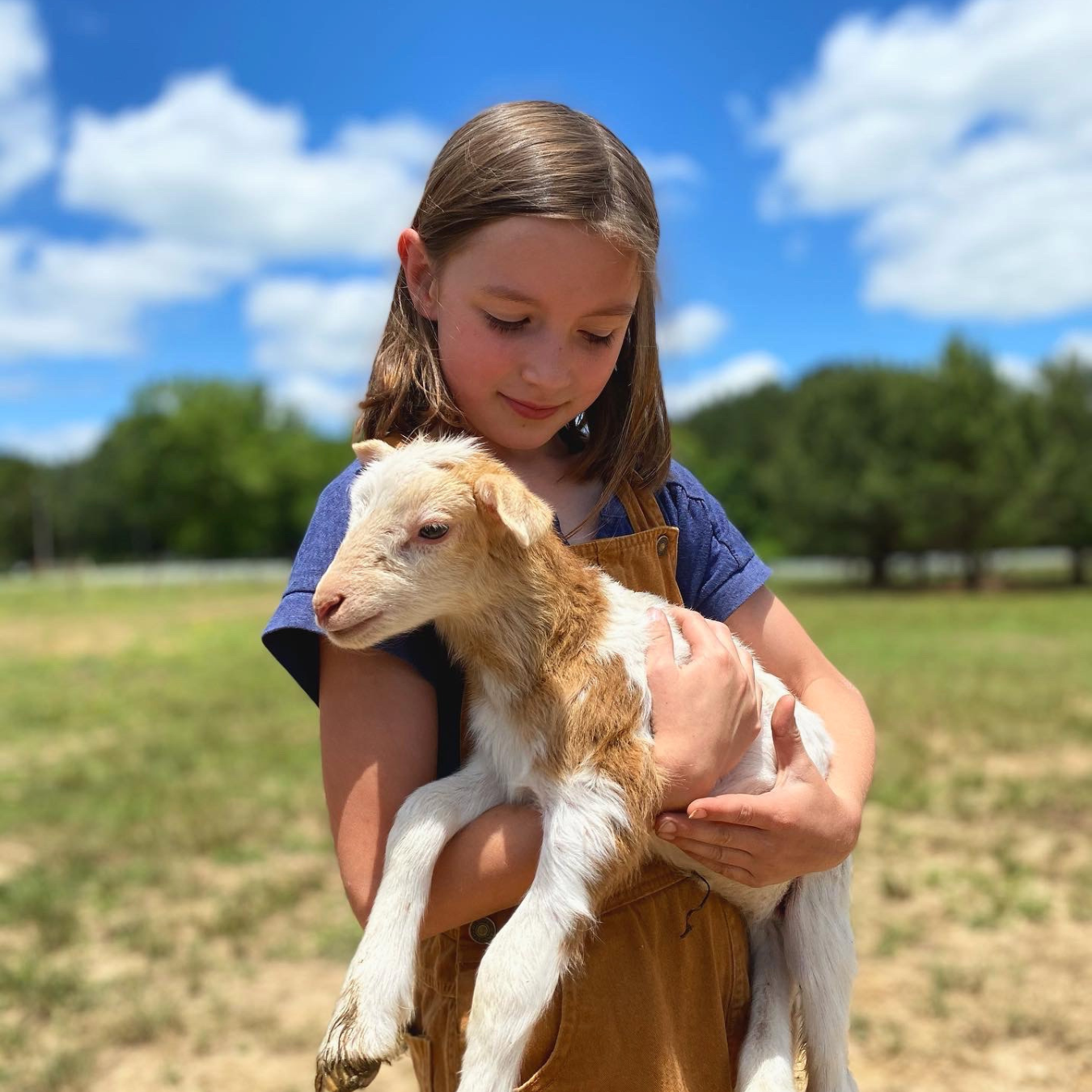 Shop — Riley Family Farms