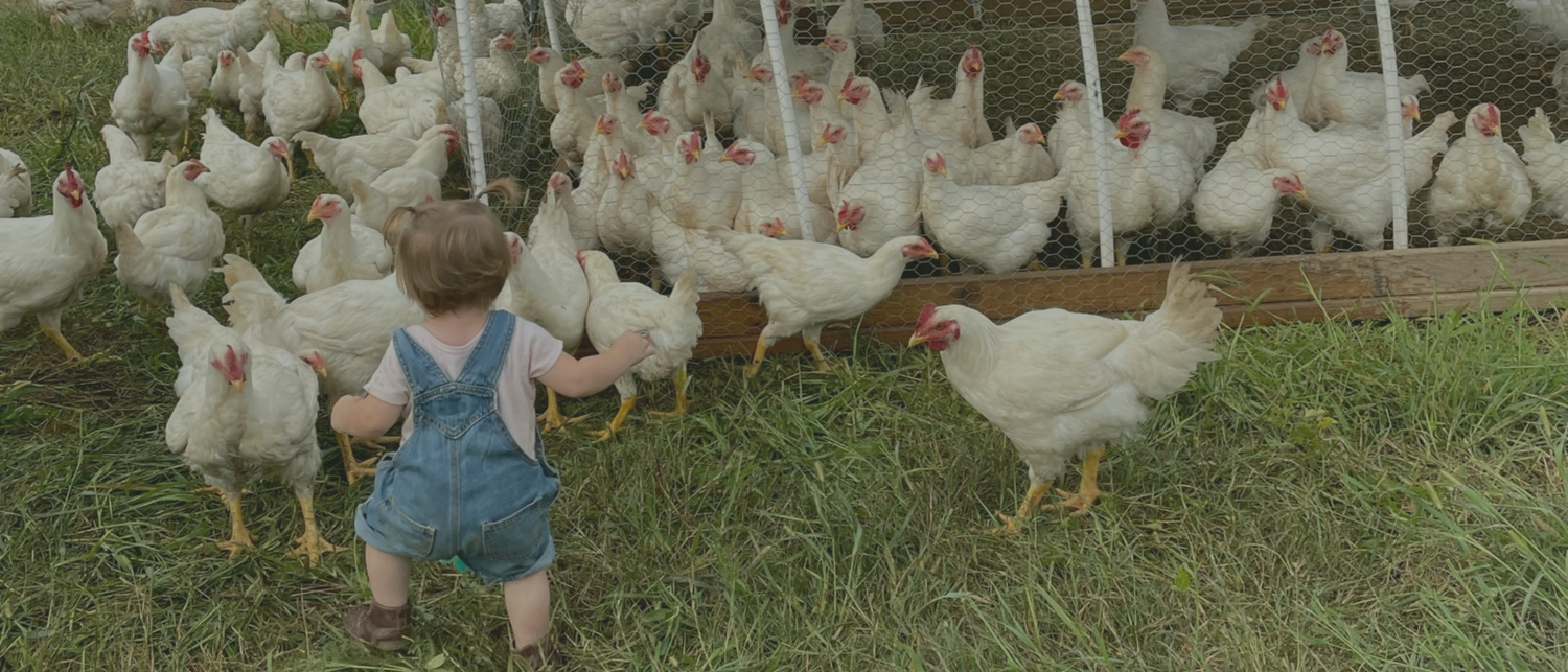 RFF Standard — Riley Family Farms