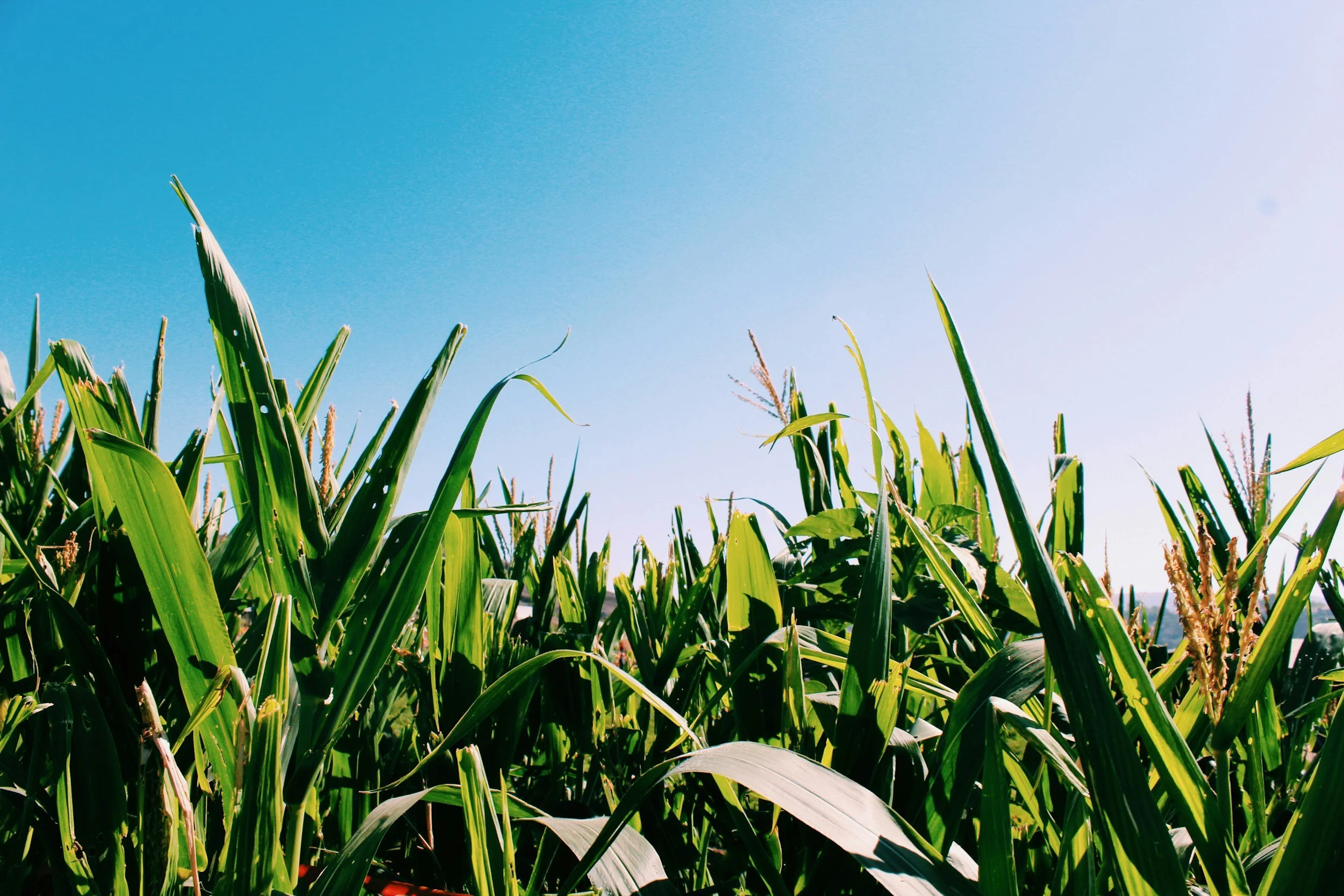 Annual Executive Business Conference — Ag View Solutions