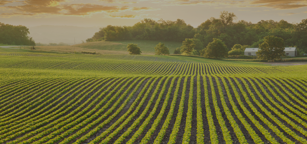 Podcasts — Ag View Solutions