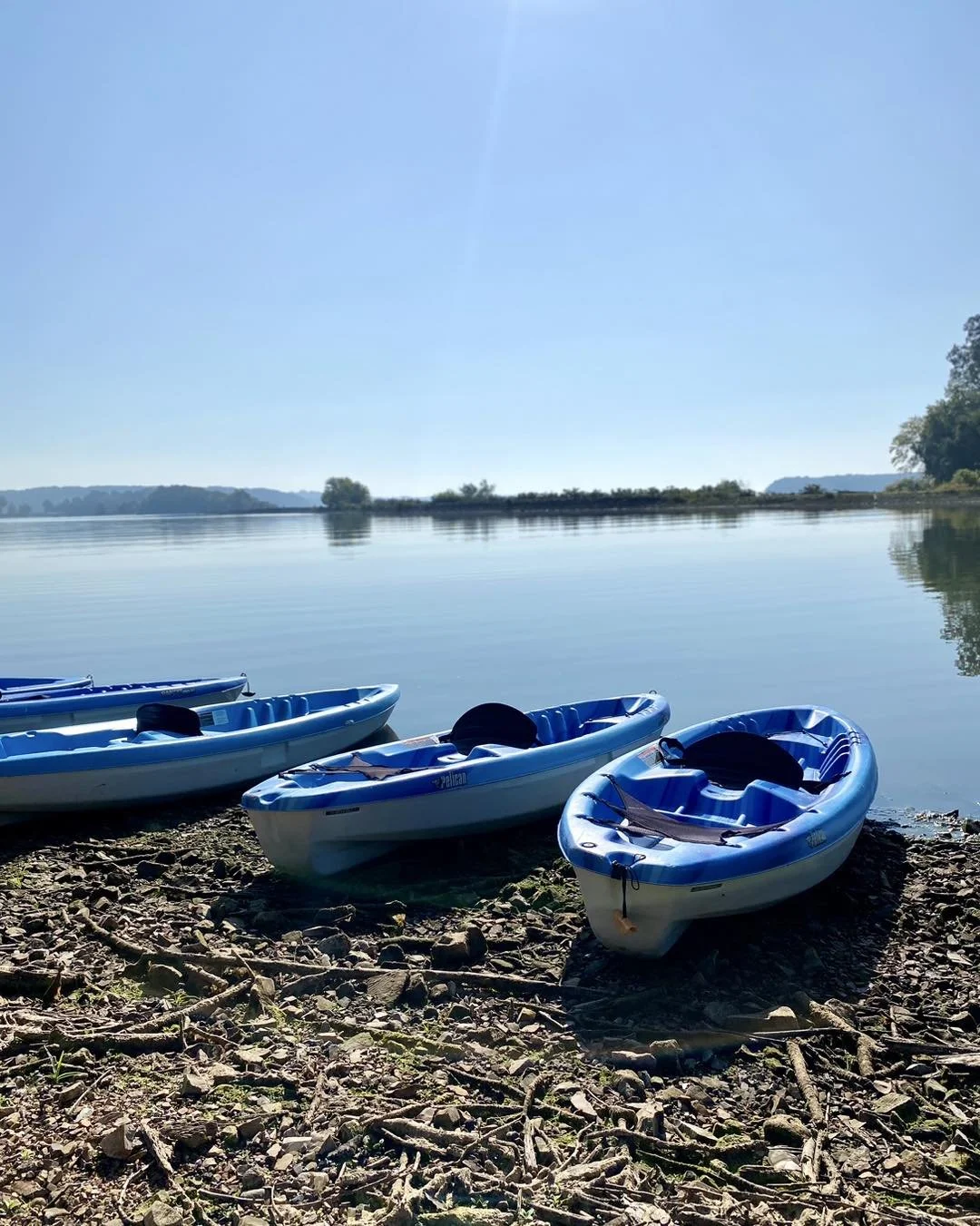 Things to Do in Kuttawa, Ky on Lake Barkley — Kuttawa, Ky Tourism ...