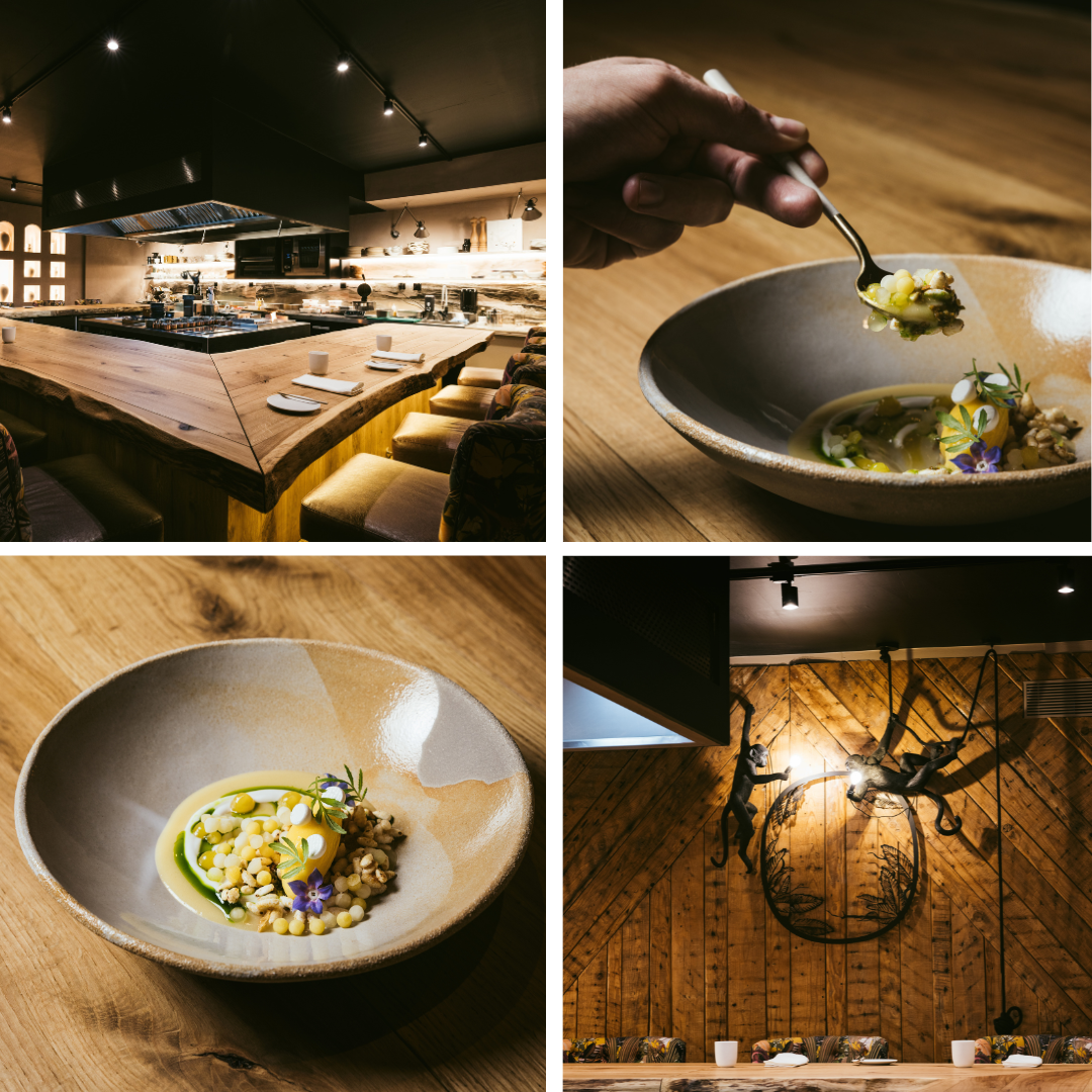 2Monkeys — Lisbon Insiders