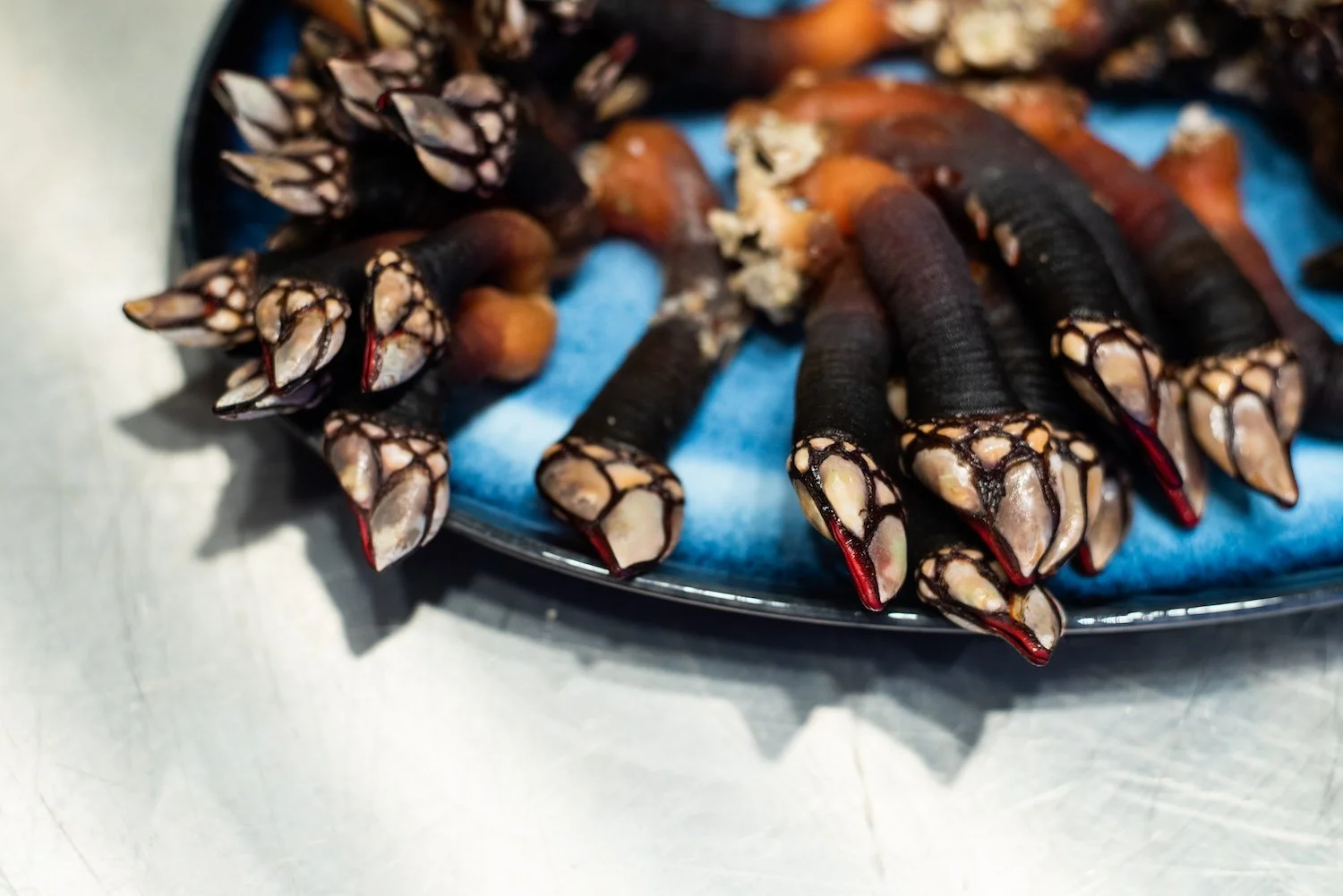 Nunes Real Marisqueira: Lisbon’s Top Seafood Restaurant in Belém ...