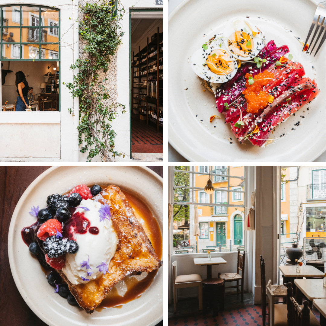 Magnolia — Lisbon Insiders