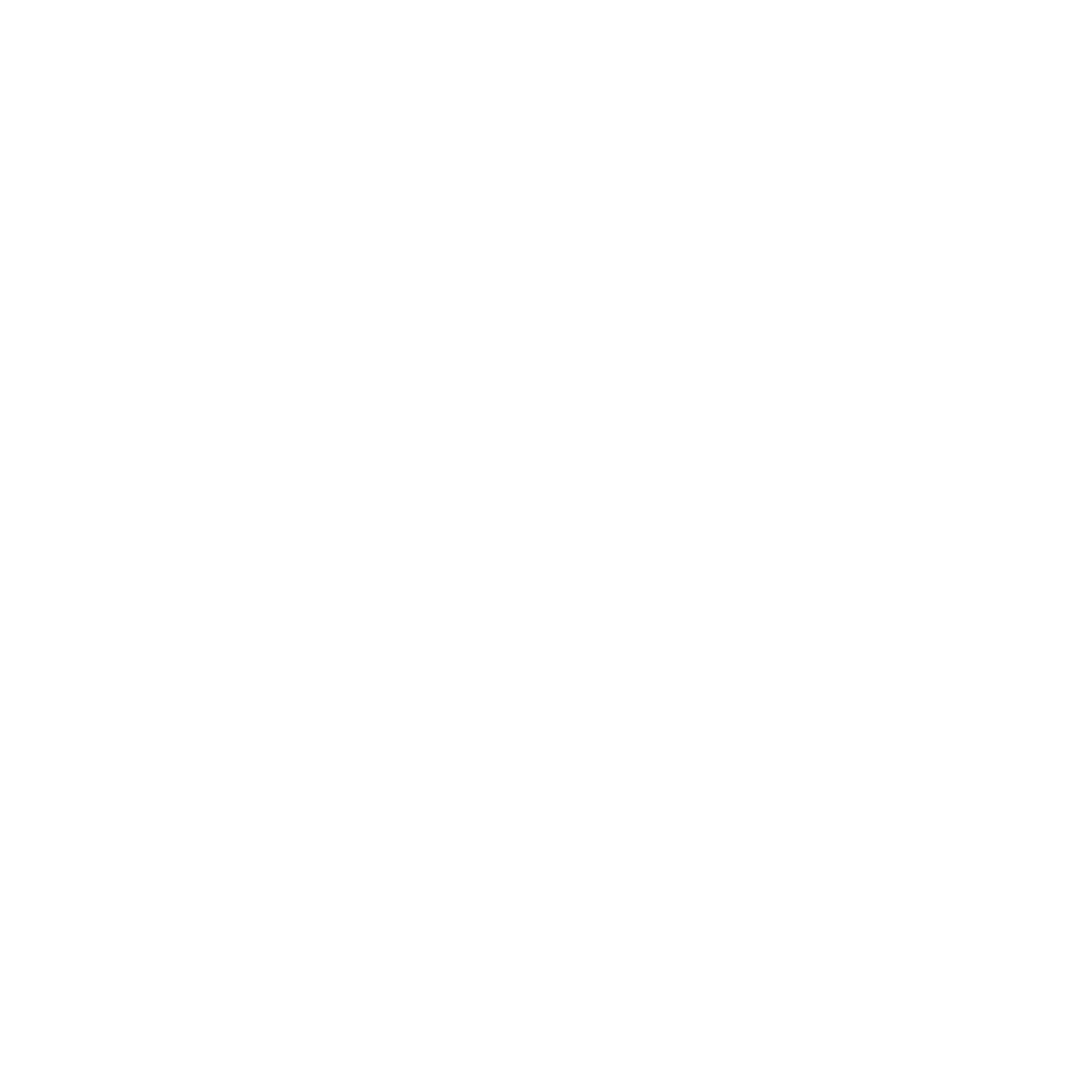 Bailey Insurance Solutions