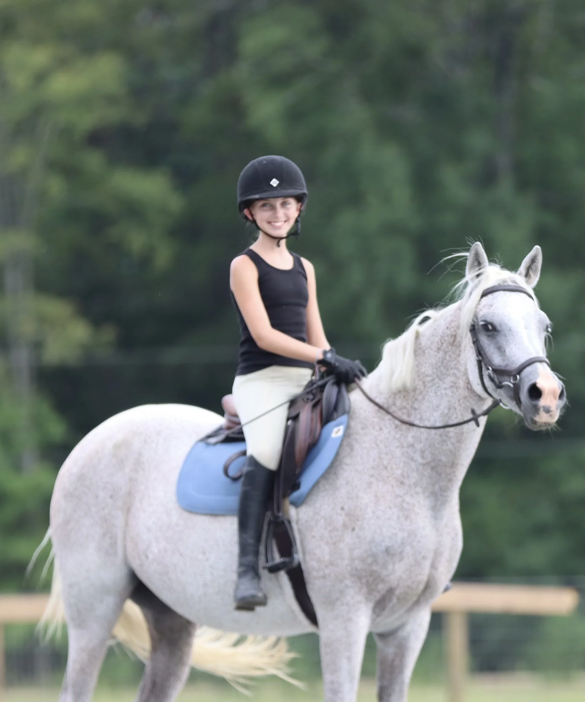 Oak Branch Horse Farm Testimonials - Kate May Owner — Oak Branch Farm