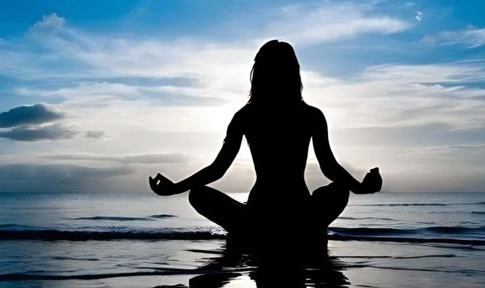 Programs — The STEPS Foundation