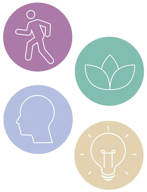 Programs — The STEPS Foundation