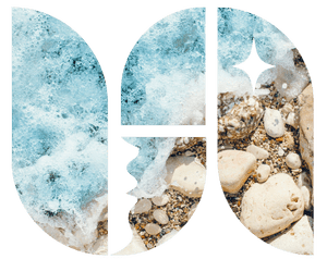 The STEPS Foundation