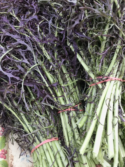 West Reading Farmers Market