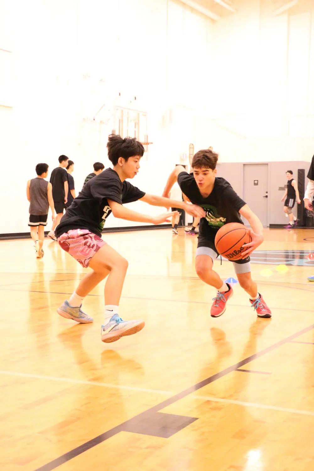 Greenlight Basketball