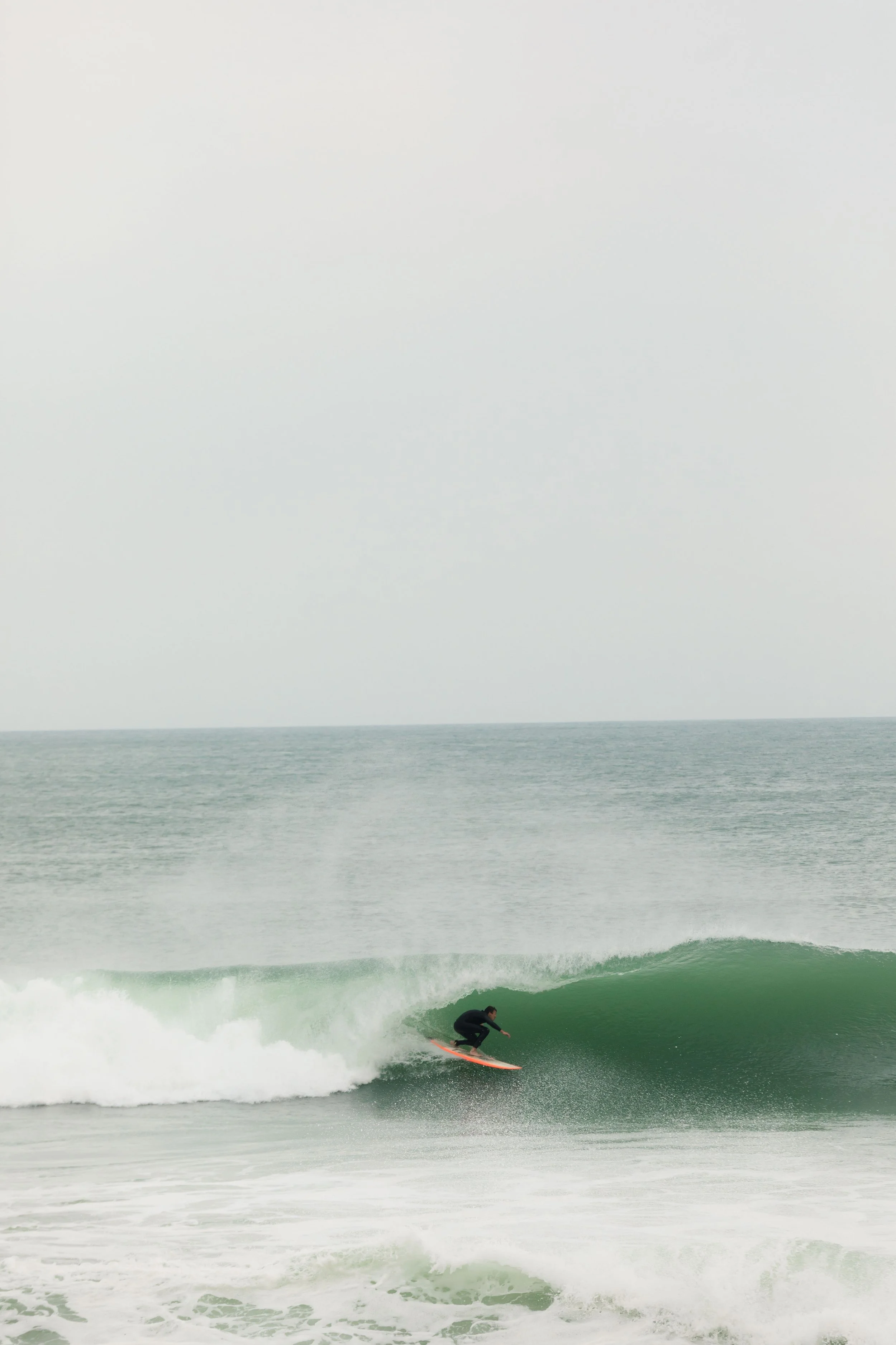 Things to do — Harborview Nantucket