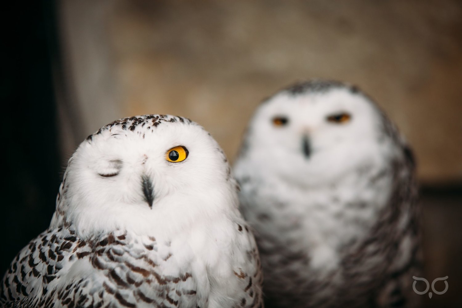 Our Story — Easy Board Meetings & Committees