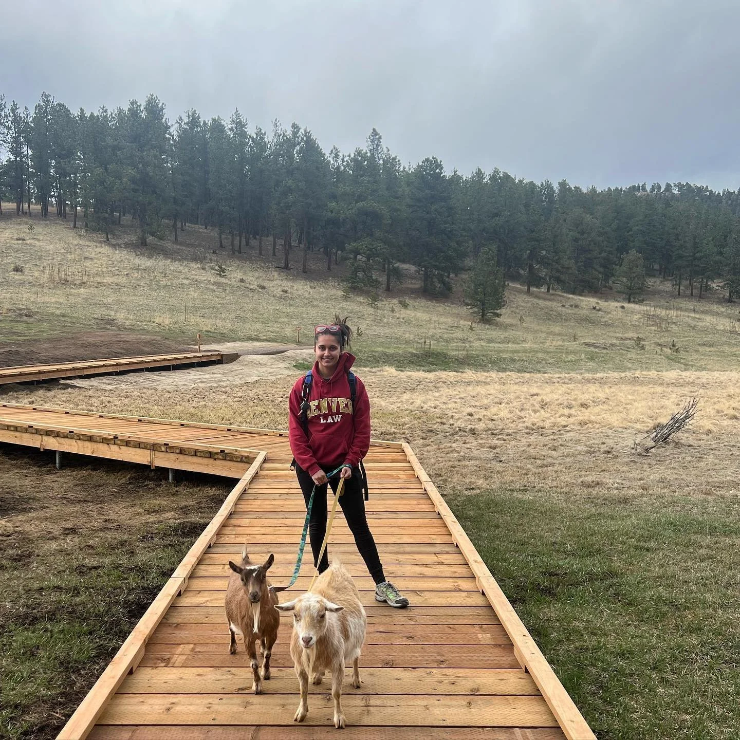 GuidedGoatHikesGuided Goat Hikes