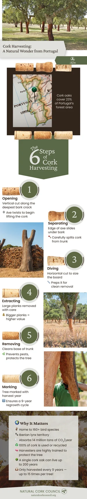 The cork harvesting process — Natural Cork Council