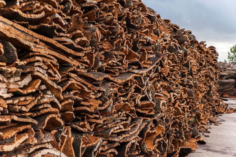 Cork Harvesting — Natural Cork Council
