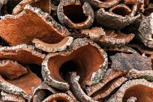 Production Process For Wine Corks — Natural Cork Council
