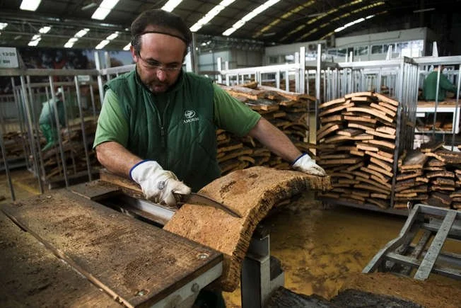 Cork: the world's most versatile and sustainable natural material ...