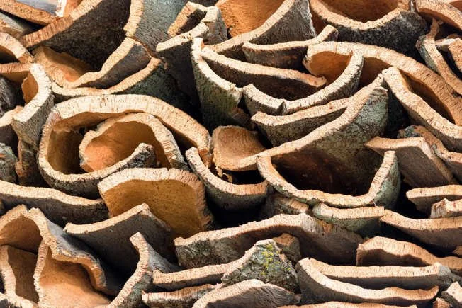 Cork: the world's most versatile and sustainable natural material ...
