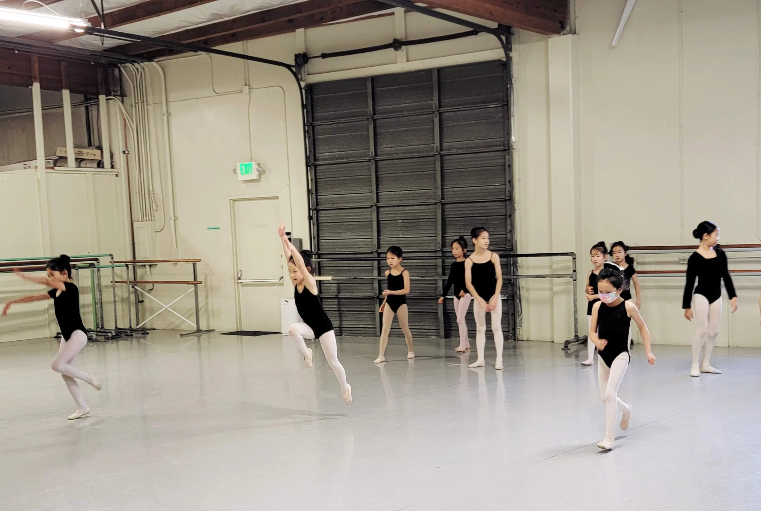 Bay Dance Collective