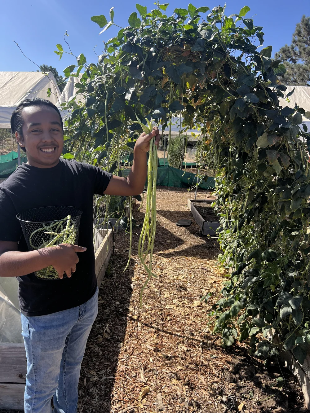 Programs & Services — Wukchumni Tribe