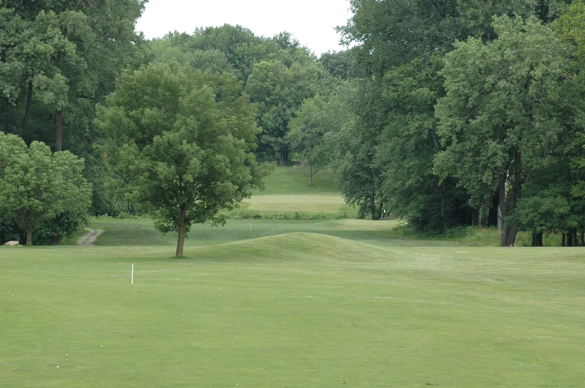 Golf — Green Acres