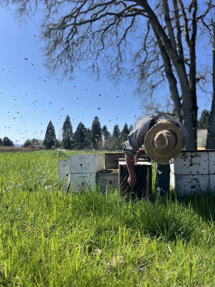 Oso Honey Farm