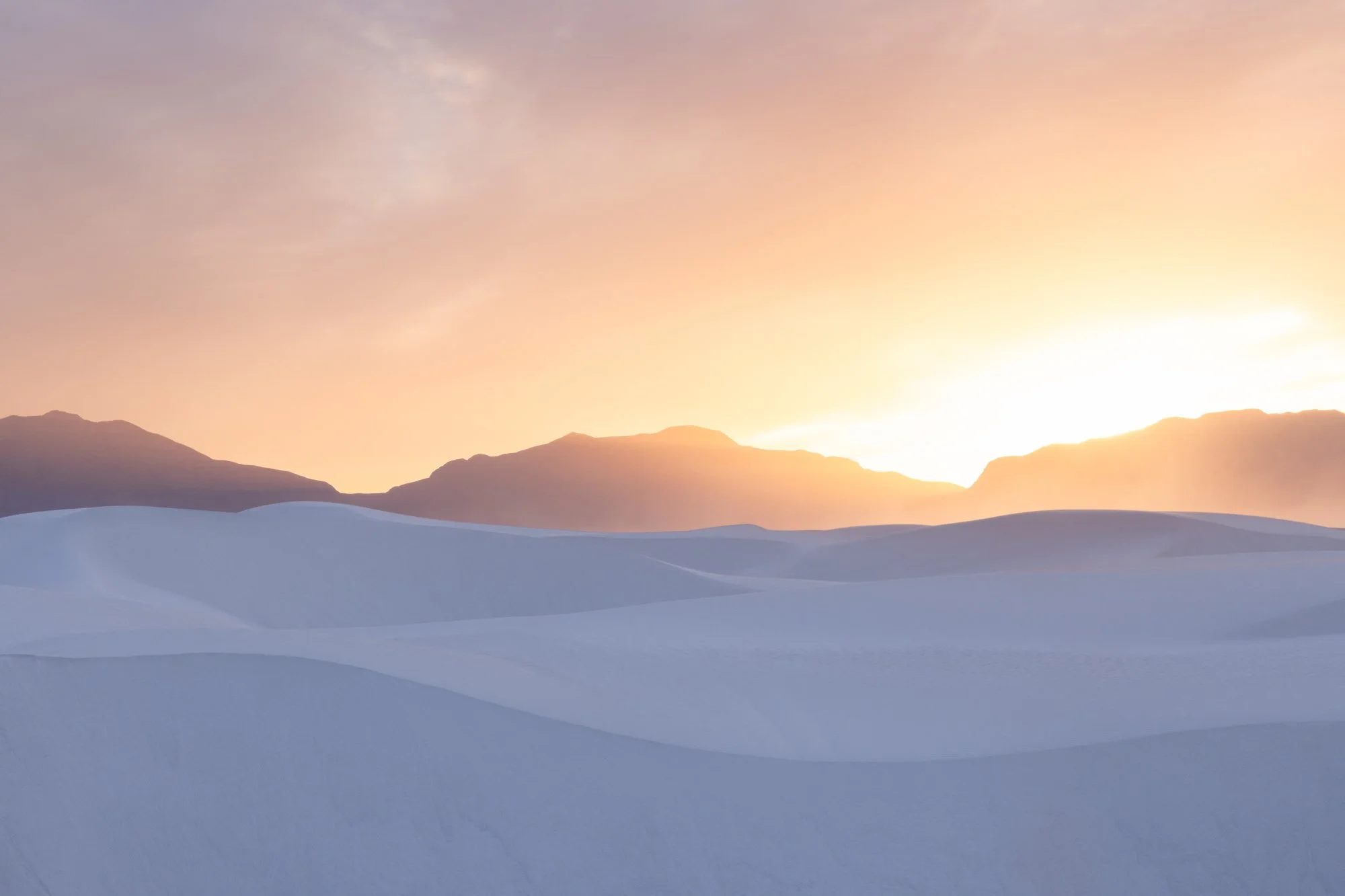 Portfolio — Michele Sons Photography