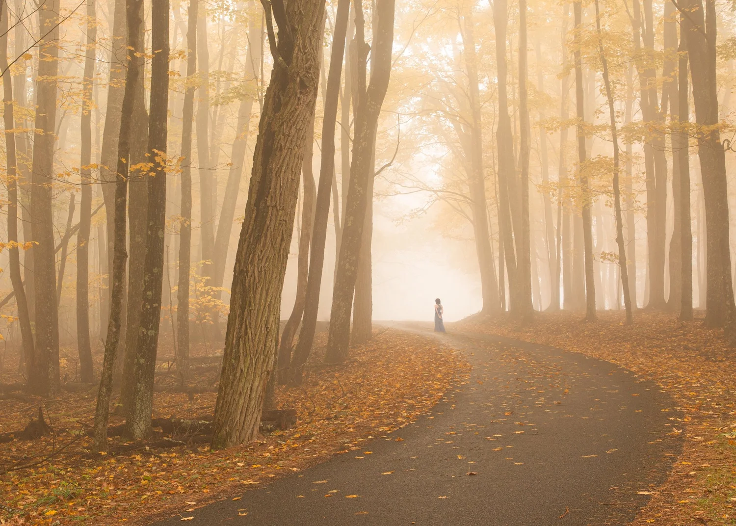 eBooks — Michele Sons Photography