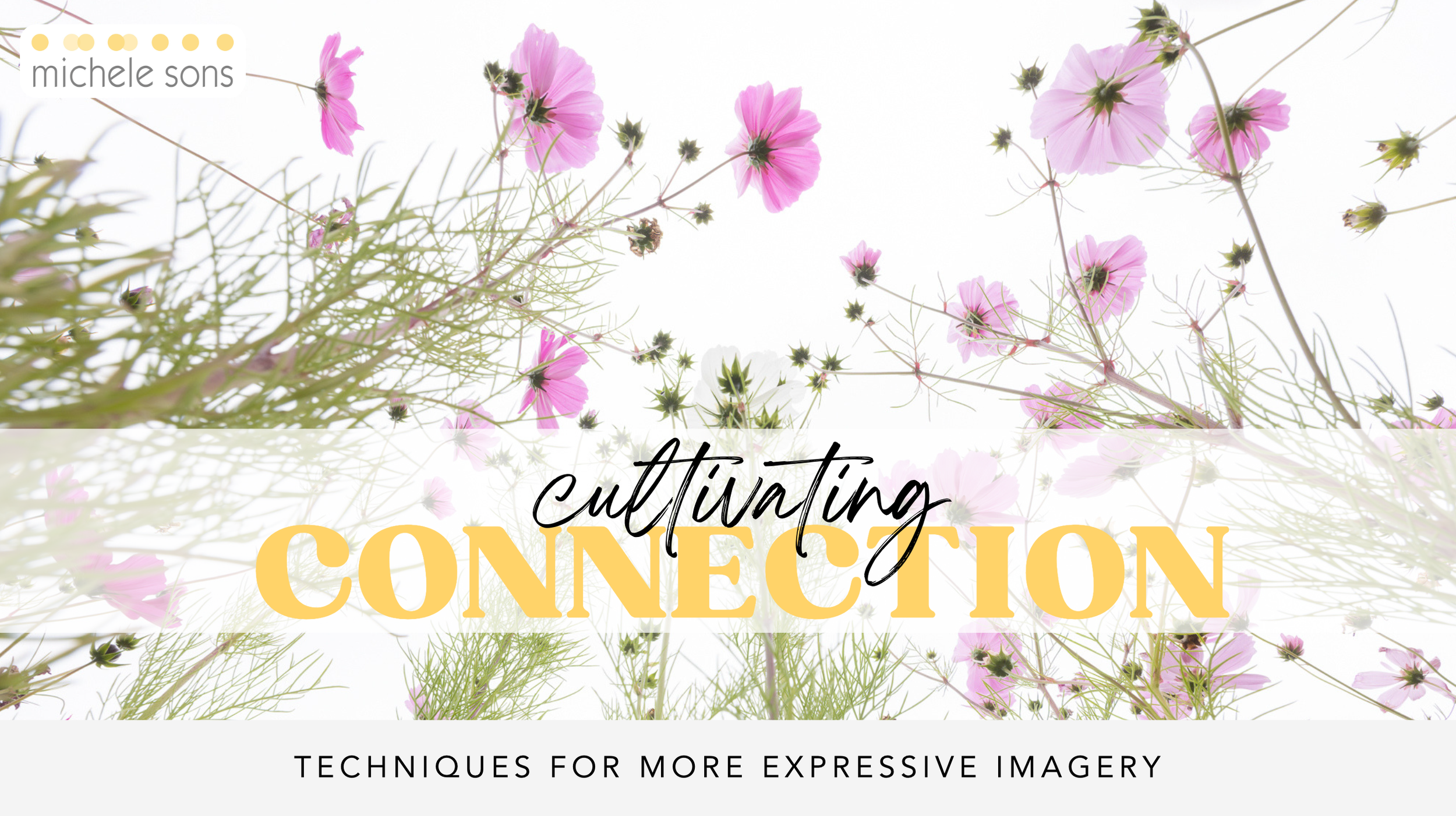 Presentation Topics — Michele Sons Photography